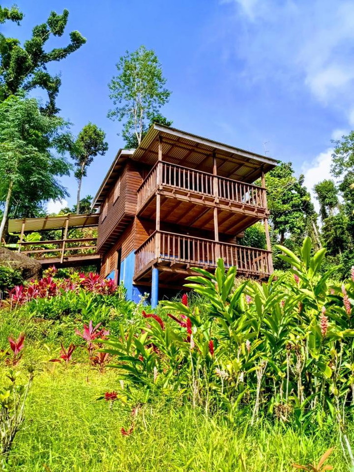 Roots Jungle Retreat - Dominica