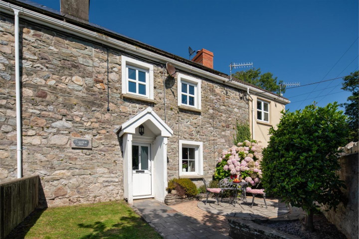 Coeden Afal - Pembrokeshire