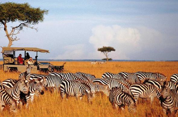 Mogli Adventure - Tanzanie