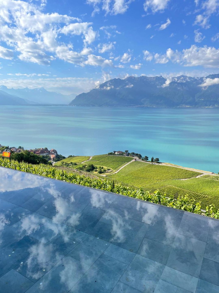 Baron Tavernier Hotel Restaurant & Spa - Lausanne