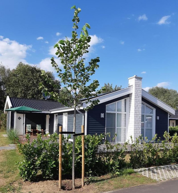 Ferienhaus Happy Days - Oldenzaal