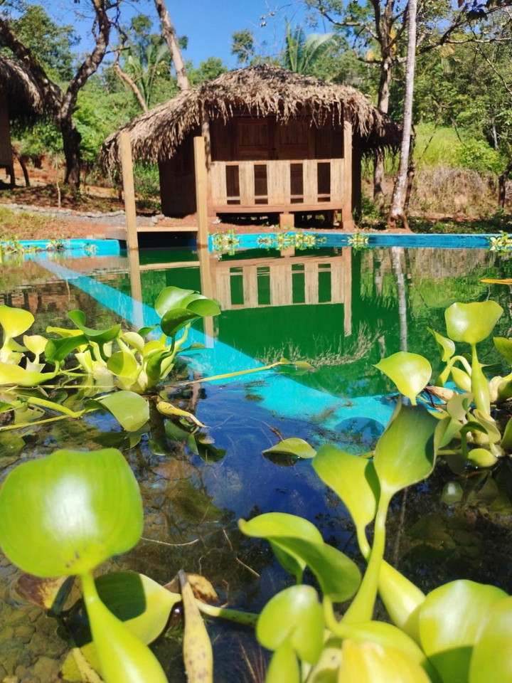 Adama Eco Farm - Panama
