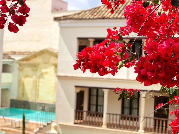 Las Casas De La Judería De Córdoba - Córdoba