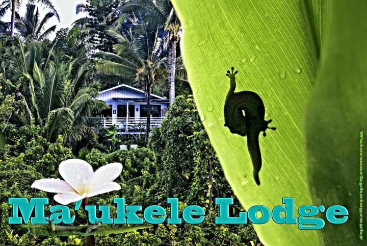 Ma'ukele Lodge - Hawaï
