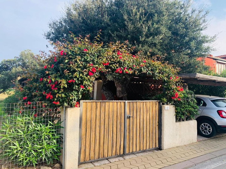 Relax In Olbia Apartment With Private Garden 2 Bedrooms - Olbia