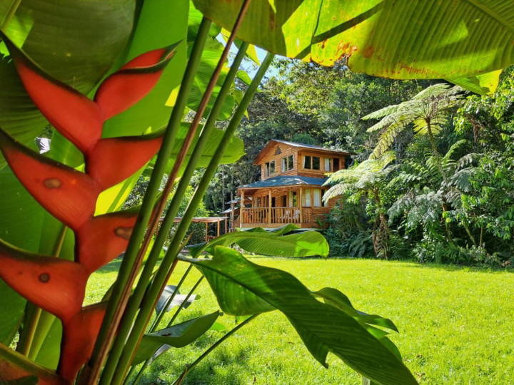 Refugio De Orquídeas - Oxapampa