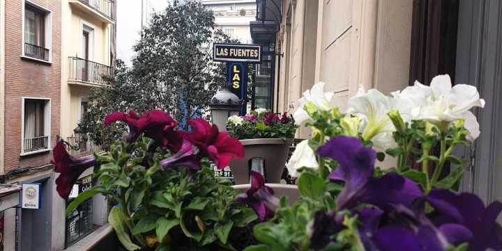 Hostal Las Fuentes - Madrid