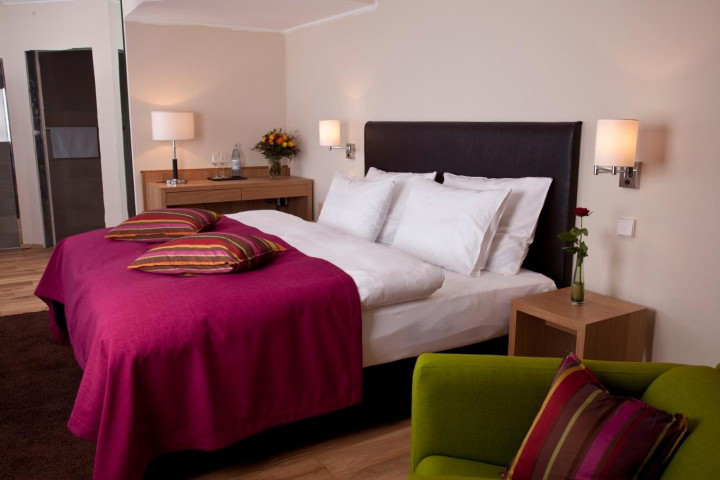 Hotel Palatina "Hotel-restaurant" - Edesheim