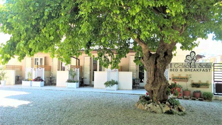 Il Gelso Di Sofia B&b - Giulianova