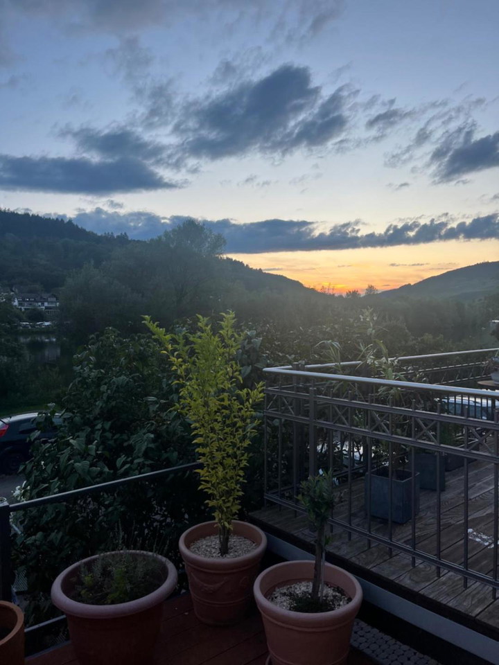 Ankerpunkt - Hahn