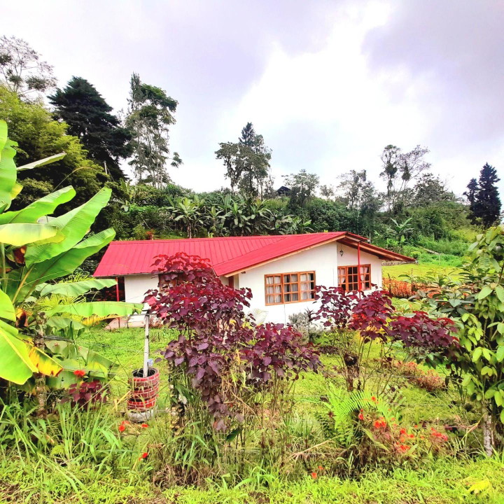 Lodge Natan Casa Completa-8 Personas - Ecuador