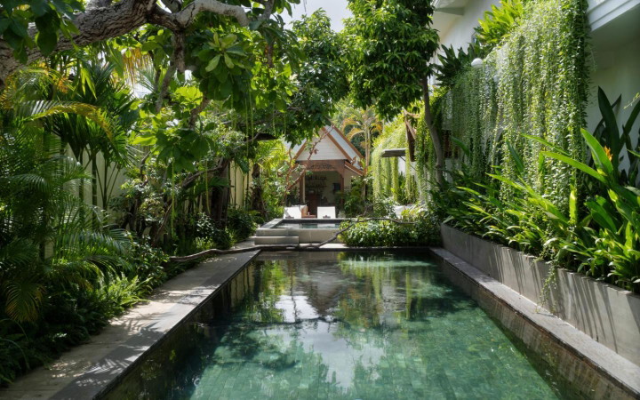 The Tree - Adults Only - Cambodia