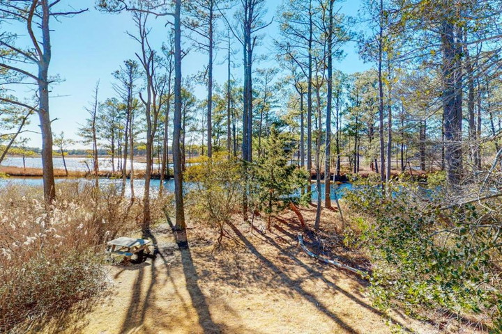 Cat Hill - 436 Tamarack - Delaware