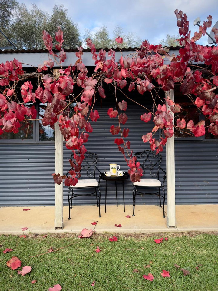 Peaceful Getaway In Stunning Bush Setting - Albury