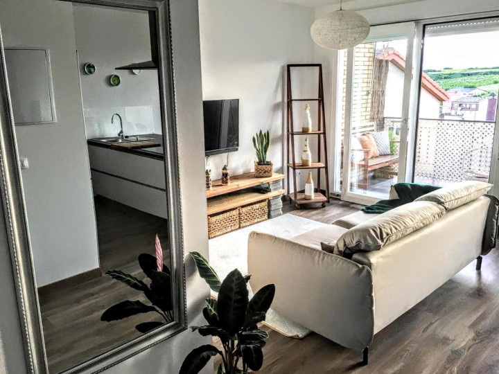 Apartamento Gaztainondoak - Laguardia