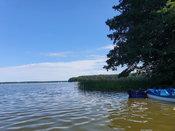 Apartament Karwica Zapach Lasu Naturalne Spa, Klimatoterapia, Basen, Sauna A02 - Mazury