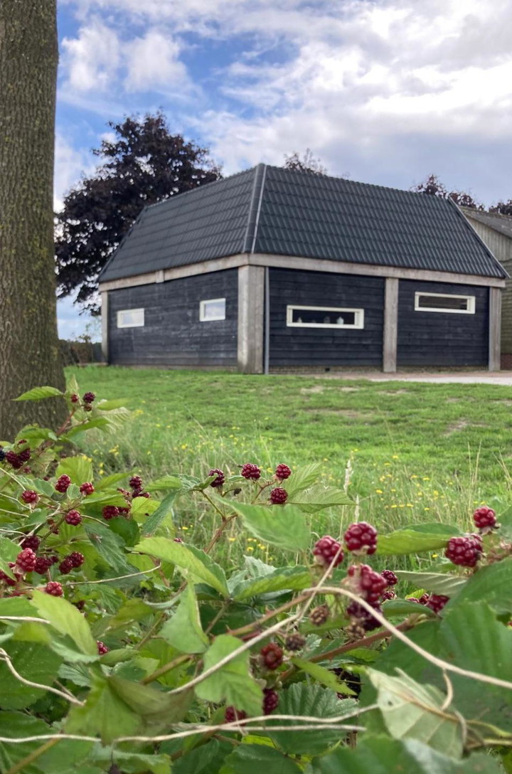 De Barg - Ommen