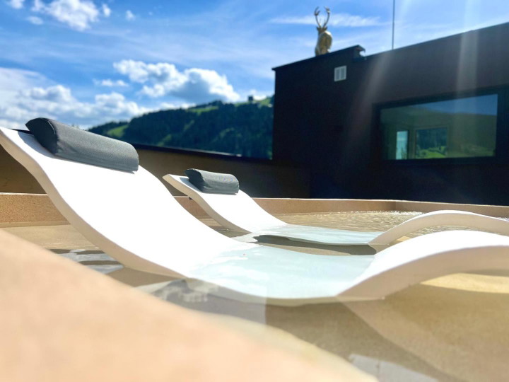 Goldhirsch Aparthotel - Flachau