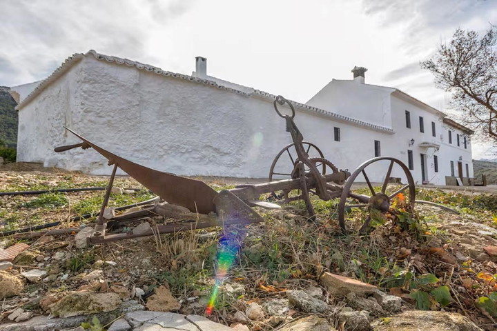 Cortijo Borreguero - Malaga