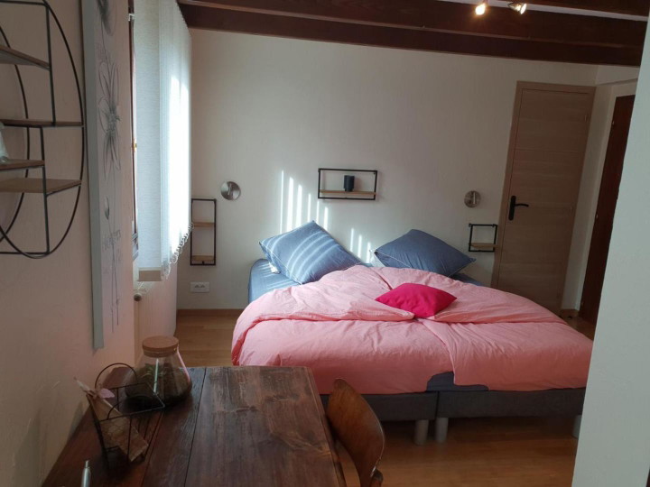 Charmantes Chambres D'hôtes En Montagne, Animaux Admis Sur Accord - Fr-1-589-729 - Vosges