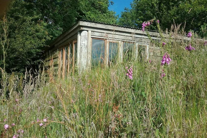 Foxesden, Unique Eco Cabin, Dartmoor Views - Dartmoor Forest