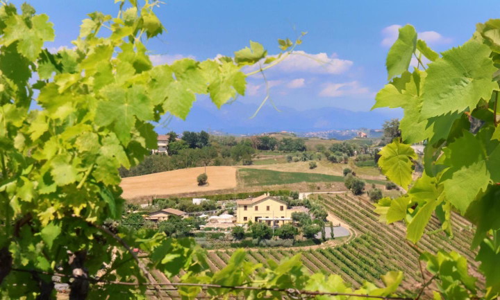 Terra Di Ea - Giulianova