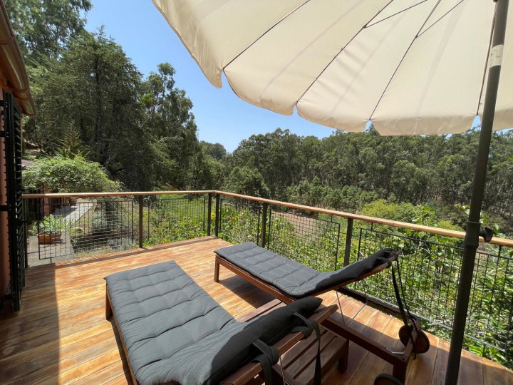 Dúplex De Invitados En Medio Del Bosque - Gran Canaria