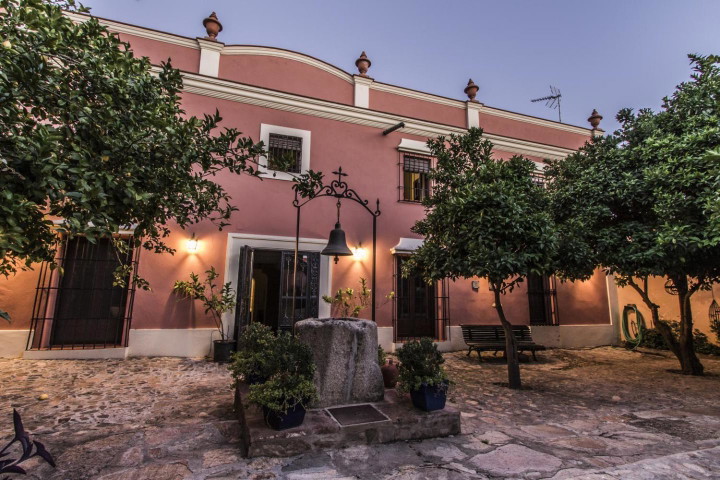 Finca Villa Juan - Spain