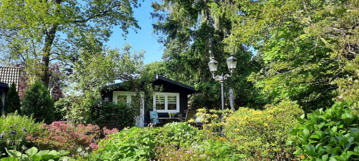 Guesthouse Vakantiehuis In Een Mooie Tuin In Het Centrum Van Zuidlaren! - Groningen