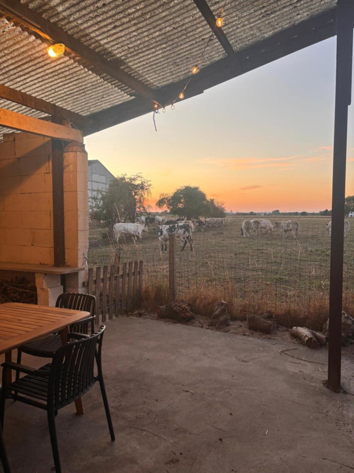 Camperhoeve Aan T Veld - Vlaanderen