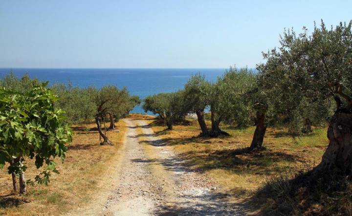 Tenuta Petreria - Szicília