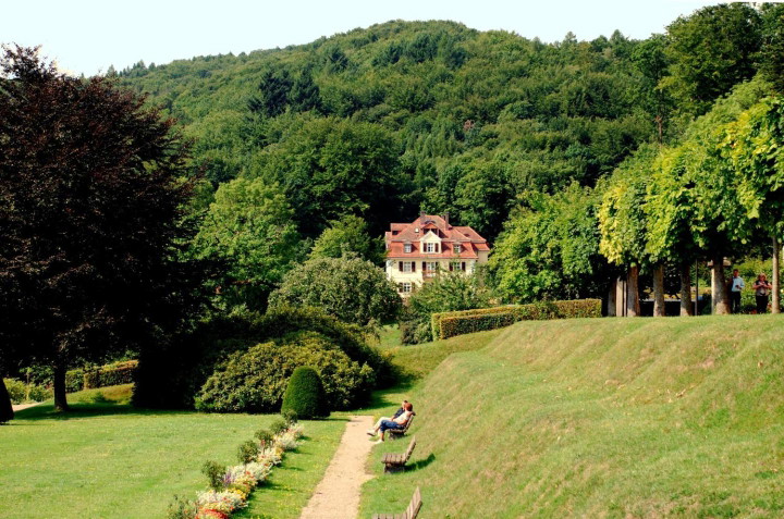 Rhön Hotel Waldcafé St. Georg - Bad Brückenau