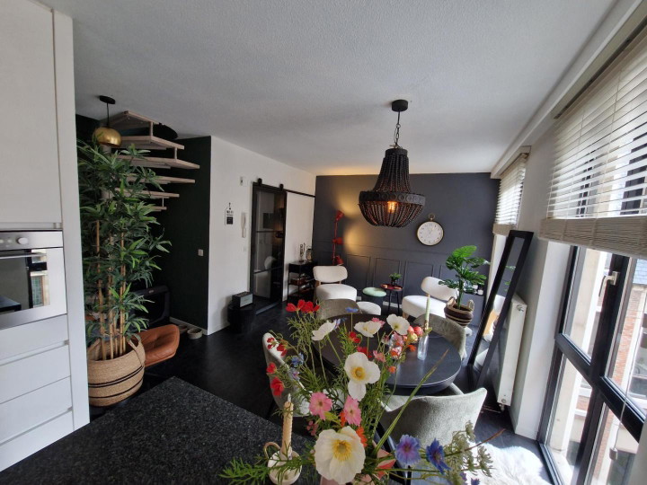 Appartement Historisch Centrum Antwerpen - Brasschaat