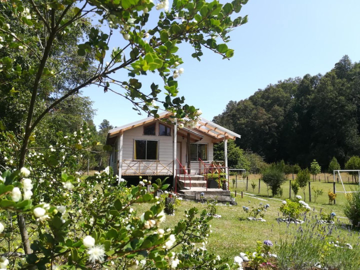 Cabañas Aliwen Panguipulli - Panguipulli