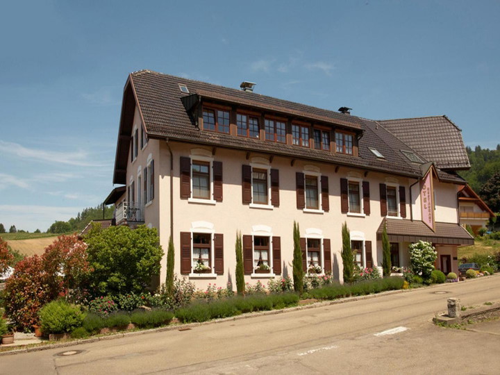 Rebstock Kappelwindeck - Bühl
