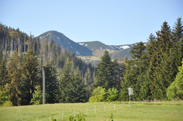 Apartamenty "U Bliźniaków" - Zakopane