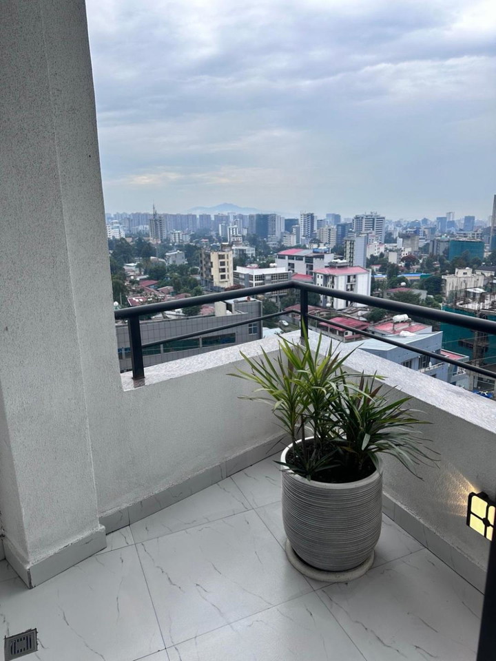Dema Hope Real Estate - Addis Ababa