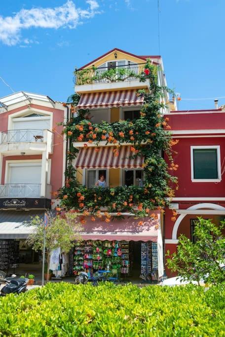 Attic Flat ''Tsoukalas Group'' - Zakynthos