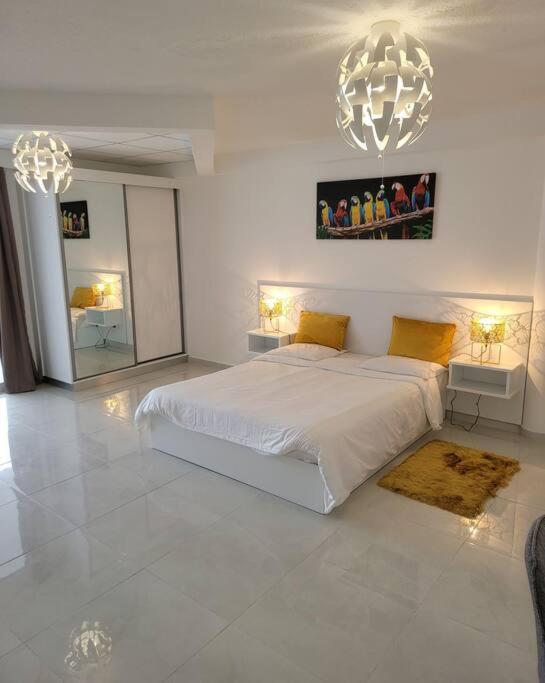 Hello Guyane (4), Suite Junior Luxury, 5 éToiles - Cayenne