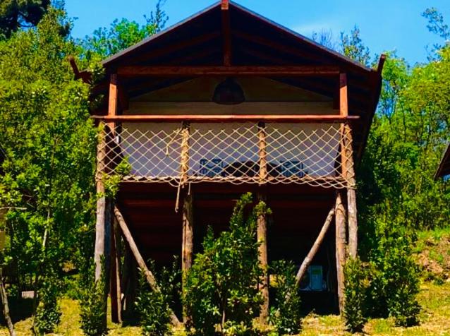 Agriglamping La Diaccia - Pistoia