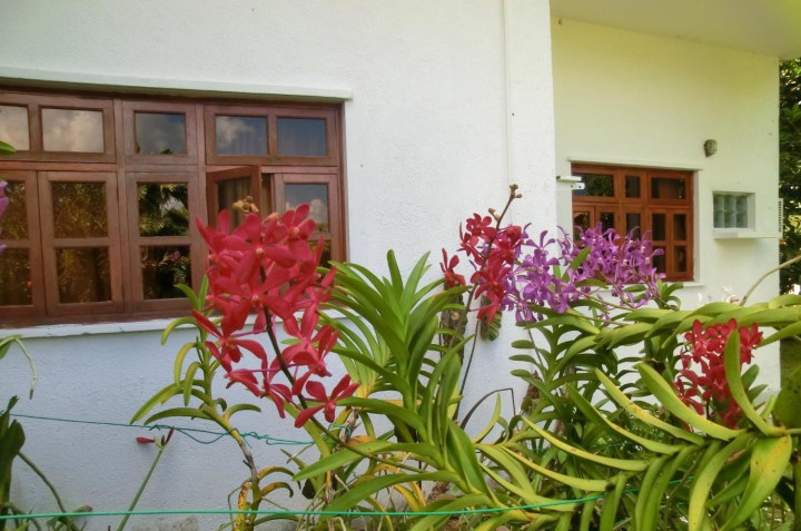Orchid Sunset Guest House - Seychelles