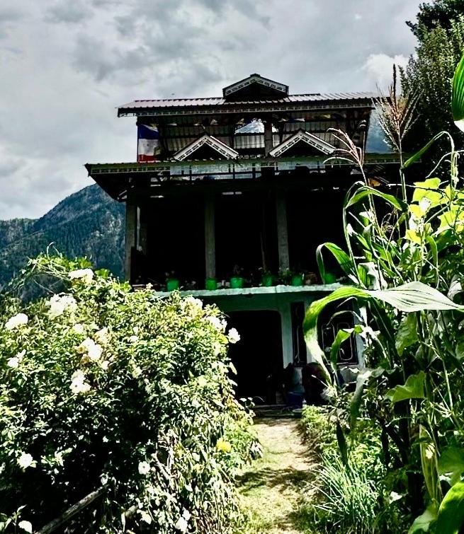 Divine Nest Homestay - Kalpa