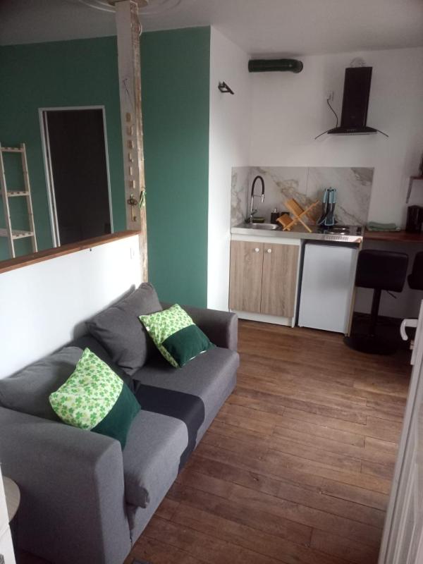 Studio Thème Dublin à Valdivienne - Chauvigny