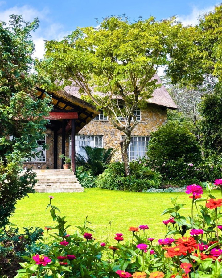 Luxury 7 Bed Home In Juliasdale - 2309 - Zimbabwe