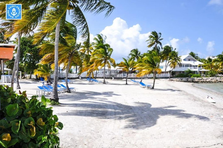 Sous Les Tropiques - Guadeloupe