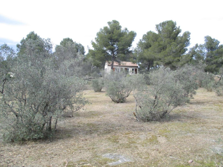 Mazet Pleine Nature - Arles