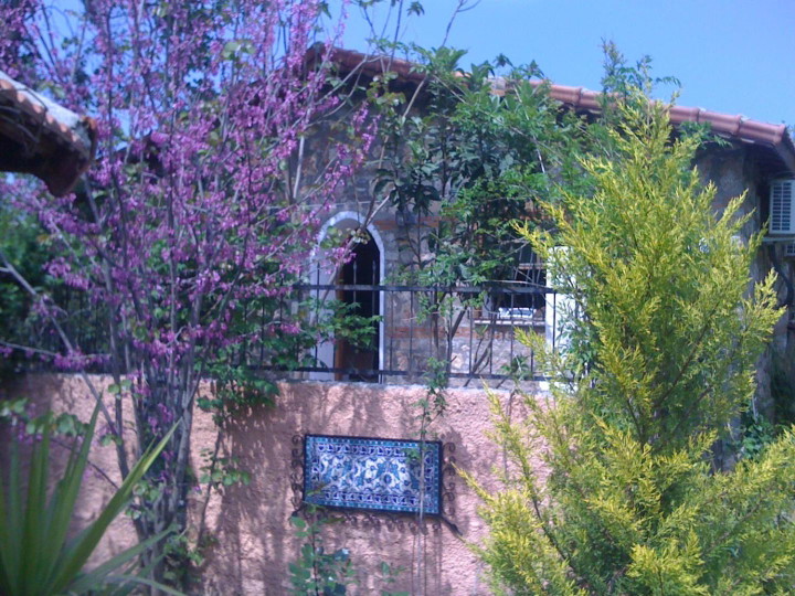Fig Garden Cottages - Çalış Beach