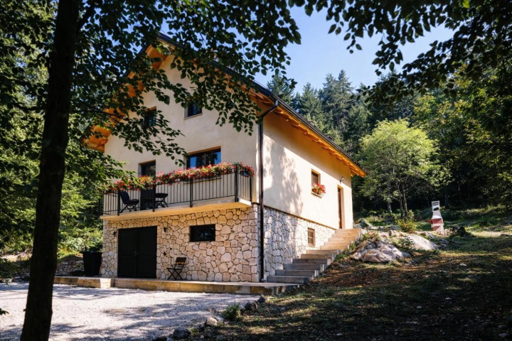 House Sid Forest - Alpes