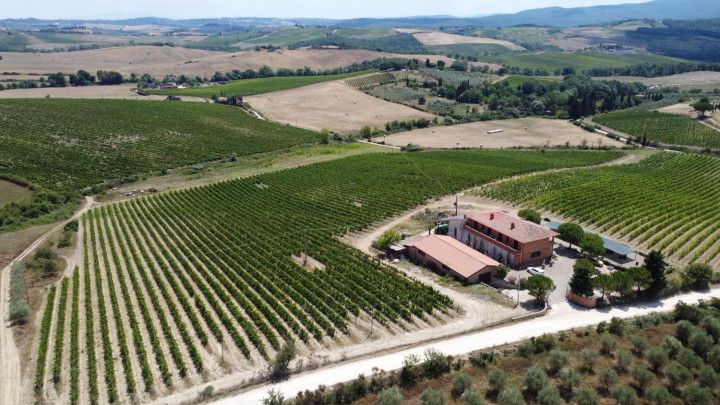 Az.agr.poggio Regini - Monteriggioni