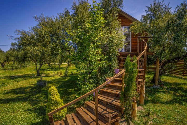 Terra Vine Collection - Fairytale - Zante